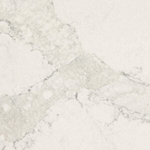 #1 Caesarstone Quartz - Houston, TX - Traditional Designs Ltd